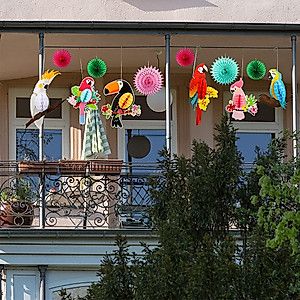 PAMISO Tropical Birds Party Supplies, Hanging Parrot Paper Honeycomb Decorations Paper Cutouts for Happy Birthday/Hawaiian/ Rainforest /Summer Party