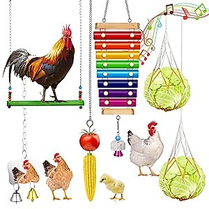 Gejoy 6 Pieces Chicken Toys Set Chicken Bird Xylophone Toy Wood Stand Hen Mirror Toy Coop Swing Chicken Veggies Skewer Fruit Holder, Vegetable Hanging Feeder Chicken Chewing Foraging Toys for Chicken