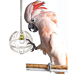 PETSOLA Parrot Foraging Ball Acrylic Growth Training Feeder Toys for Parrot Budgie Parakeet Cockatiel Etc, Type 1