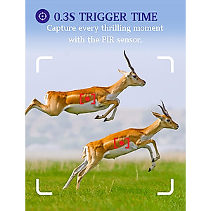 BLAZEVIDEO 2-Pack Game & Trail Camera 32MP 1296P MP4 Video No Glow Night Vision Motion Activated IP66 Waterproof 0.3 Trigger Speed for Hunting Wildlife & Home Surveillance