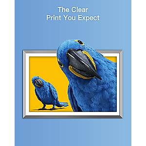 GPC Image Remanufactured Ink Cartridge Replacement for HP 61XL 61 XL Compatible with Envy 4500 5530 4502 Officejet 4630 4632 4635 Deskjet 2540 1000 3050 Printer Tray(1 Black 1 Tri-Color)