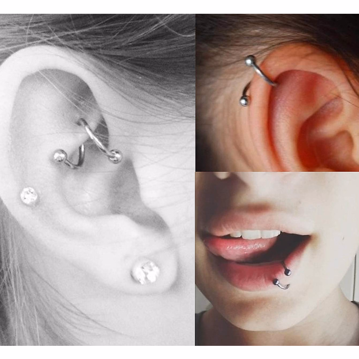 MODRSA Gold Cartilage Earrings for Women 16 Gauge Forward Helix Earrings Tragus Earrings Studs Surgical Steel Cartilage Hoop Earring 20 Gauge Helix Hoop Cartilage Jewelry Rose Gold