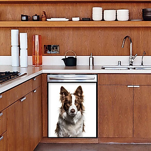 Dishwasher Magnet Sticker Border Collie 1 Year Old Portrait Against White Magnetic Refrigerator Sticker Appliance Covers Home Kitchen Decor for Fridge Metal Door Garage 23x26in