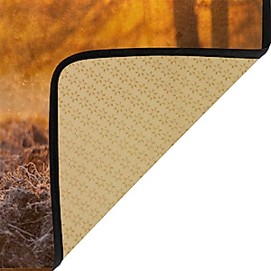 susiyo Red Deer in Morning Sun Kitchen Rug Floor Mat Non-Slip Anti Fatigue Memory Foam Comfort Standing Mats for Entryway Hallway Bathroom Welcome Doormat 39x20inch