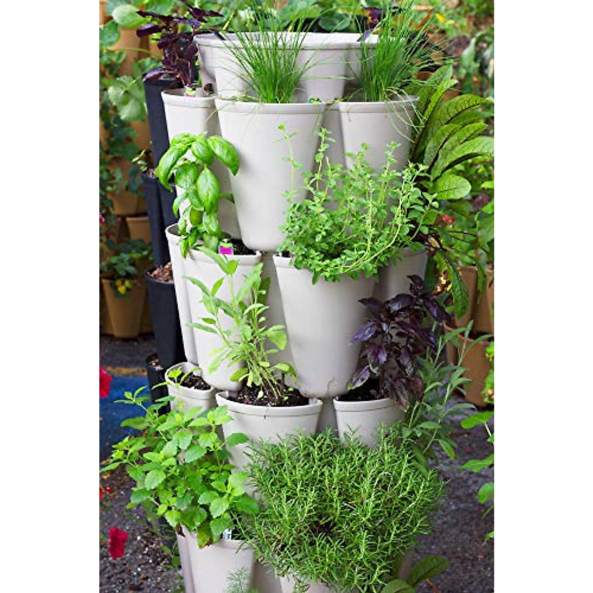 Greenstalk Patented Large 5 Tier Vertical Garden Planter with Patented Internal Watering System Great for Growing a Variety of Strawberries, Vegetables, Herbs, & Flowers (Stunning Stone)
