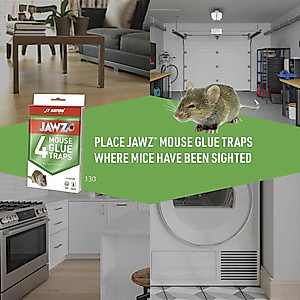 MOUSE GLUE TRAP PRO 4PK