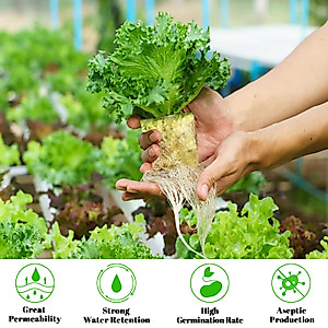 Legigo 1 Inch Rockwool Cubes Seed Starter Grow Cubes for Hydroponics, Rock Wool Planting Cubes Clone Cubes Soilless Cultivation Hydroponics Pods for Garden Plants Germination (2 Sheet, 100 Plugs)