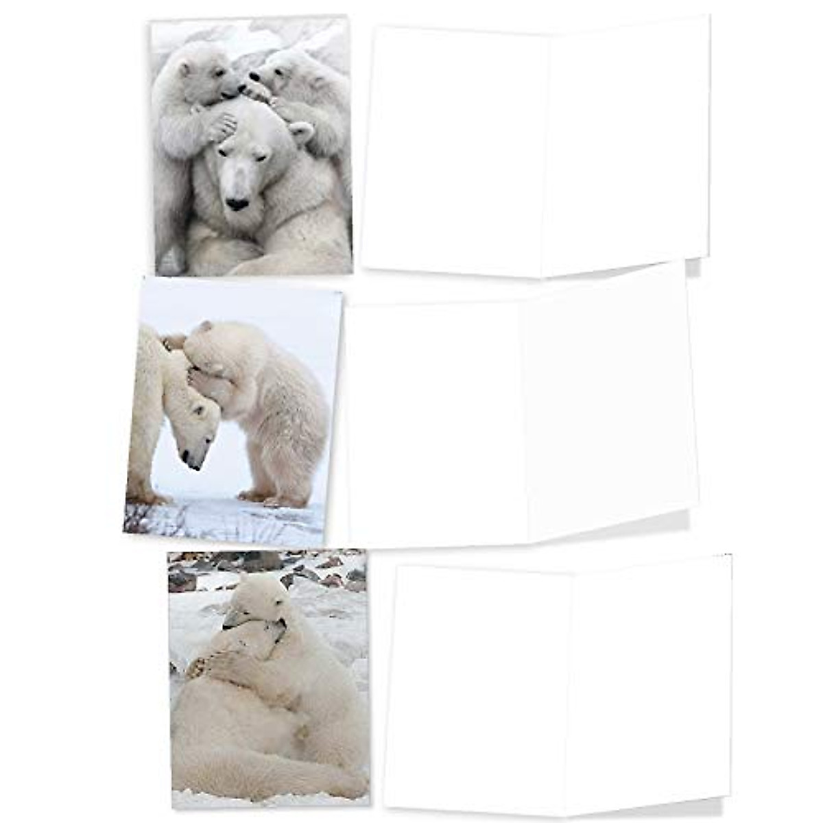The Best Card Company - 10 Assorted Blank All Occasions Notes Box Set 4 x 5.12 Inch with Envelopes (10 Designs, 1 Each) Boxed Assorted Kid Cards of Pets - Bear Hugs AM6327OCB-B1x10
