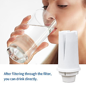 WuYan Replacement Water Filter, Compatible with Brita Pitcher Filter Standards Grand,Lake,Capri,Wave Classic 35557,OB03,Mavea 10700 (6 Pack)