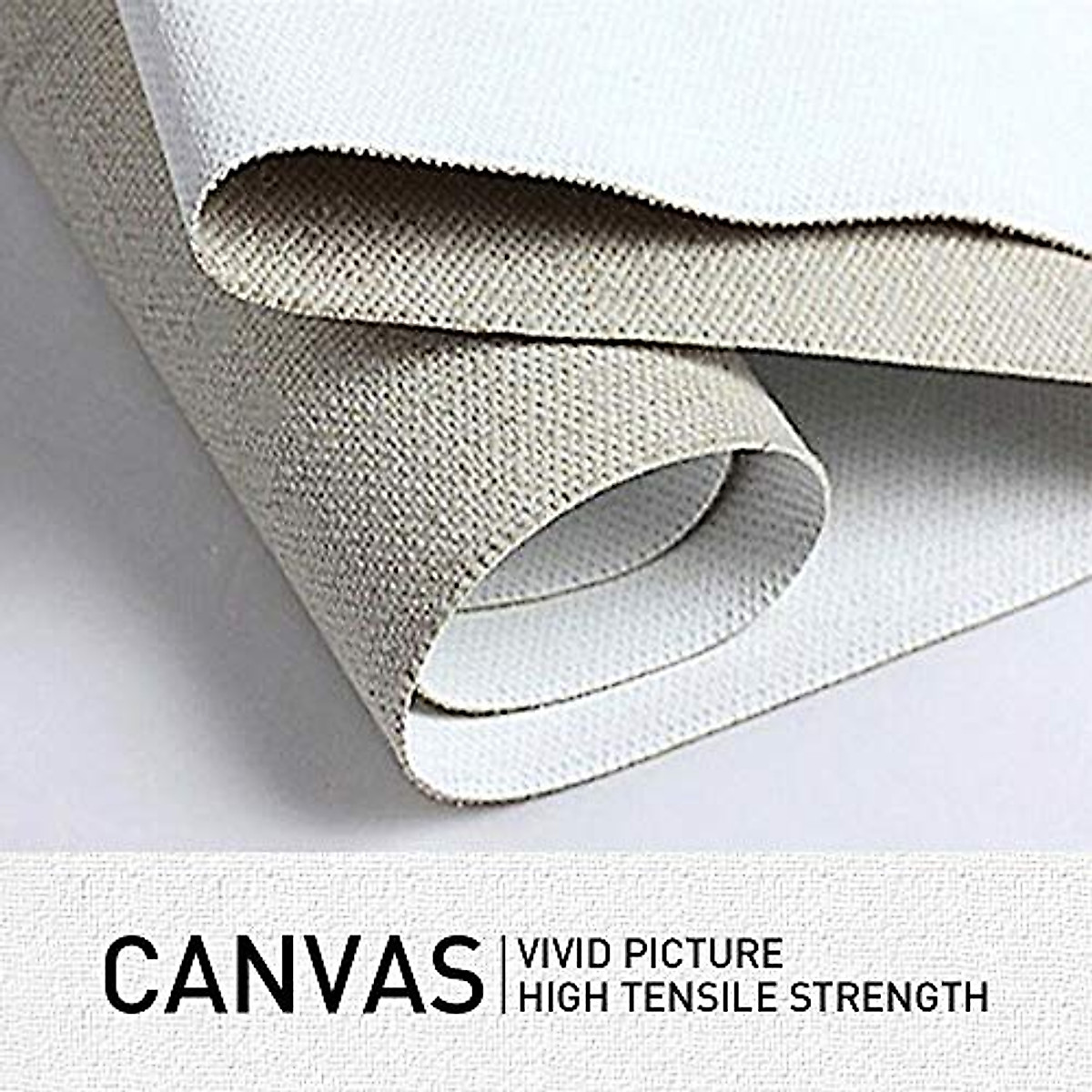 NC 新品 Tiango Playboi Carti Die Lit Art Music Album Canvas Poster HD Print Wall Decor, unframed 24X24 inches…