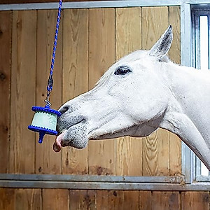 Likit Starter Kit Glitter Pink - Glitter Pink, Regular