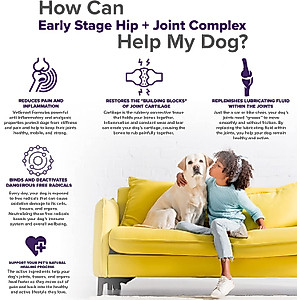 VetSmart Formulas Joint Supplement for Dogs (Early Stage, Pack of 1)