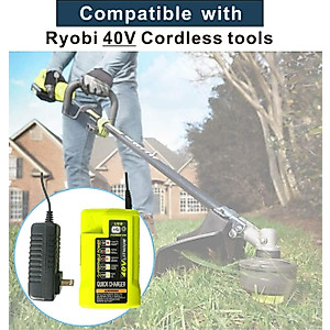 OP403 USB Port Battery Charger Replacement for Ryobi 40 Volt Battery Charger P401A OP403 OP403A OP404A OP400 OP401 OP400A OP406A, Compatible with Ryobi 40 Volt li-ion Battery OP40401 OP4040A OP1020A
