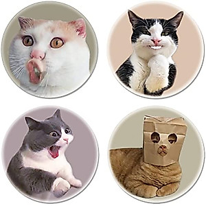 Funny Cat Coasters Pack, Set of 4 Cat Meme Drink Coaster, Non Slip Silicone Heat Insulation Cup Mats for Tabletop Protection, 4 Inches