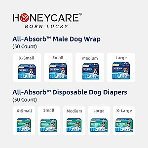 HONEY CARE All-Absorb Puppy Training Pads Dog Potty Pads Absorb Eliminating Urine Odor, Jumbo-Size Charcoal Puppy Pee Pad (Carbon, XL 28x34 inch, 40ct)