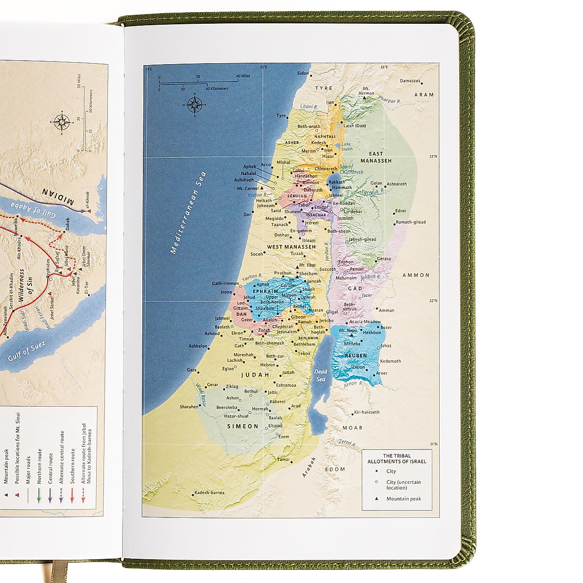 NASB Large Print Personal Size Reference Bible, Olive LeatherTouch, Red Letter, Presentation Page, Cross-References, Full-Color Maps, Easy-to-Read Bible Karmina Type
