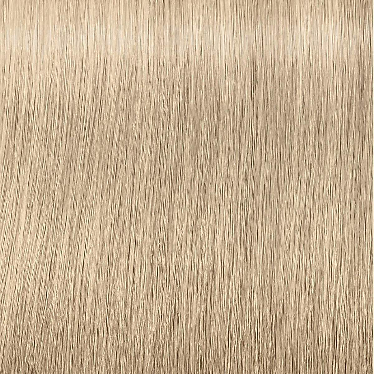 Schwarzkopf IGORA ROYAL HIGHLIFTS Permanent Color Creme (12-2 Special Blonde Ash)