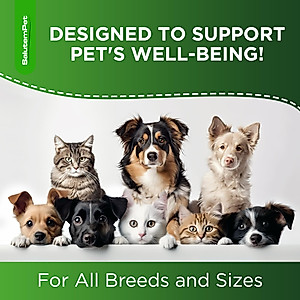 Liquid Multivitamin for Dogs | Dog Multivitamin Liquid | Multivitamin for Cats | Multivitamin for Dogs | Cat Multivitamin 10-in-1 | Cat Multivitamins for Indoor Cats | 2 Oz