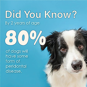 Ora-Clens Advanced Enzymatic Toothpaste – Safe and Natural Dog Oral Care Toothpaste – Freshens Breath, Fights Plaque and Reduces Tartar – Tasty Peanut Butter Flavor – 3 Oz