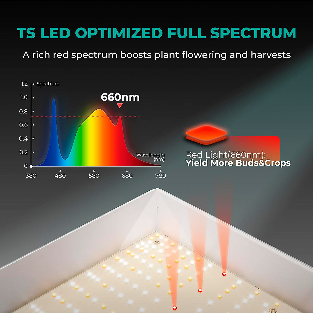 MARS HYDRO 2024 New TS1000 150W LED Grow Light for Indoor Plants, Patented Reflector Dimmable Lights Daisy Chain Full Spectrum Growing Lamps for Seedlings Veg Bloom in 2x2/3x3 Grow Tent