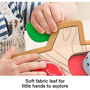 Fisher-Price Baby Toy Hide & Peek Pop-Up Animal-Themed Sensory Activity with Wood Accents & Sounds for Ages 9+ Months