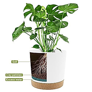QCQHDU Plant Pots Set of 2 Pack 8 inch,Planters for Indoor Plants with Drainage Holes and Removable Base,Saucer Modern Decorative for Outdoor Garden Planters(White 8in)