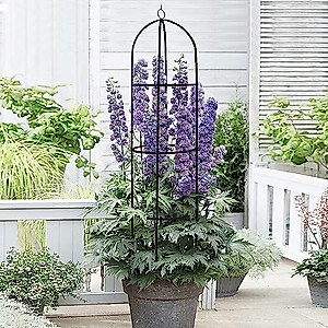 Garden Trellis Obelisk,Black Metal Tower Obelisk Trellis,for Climbing Plants Rustproof,Flower Stand Rose Trellis Vegetable