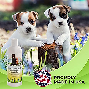 Spring Pet Aloe and Oatmeal Shampoo for Dogs and Cats ~ 16 Oz Veterinarians Choice Hypoallergenic Formula Blend of Coat and Skin Conditioners and Moisturizers Made in USA