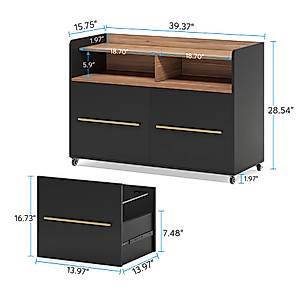Tribesigns 2 Drawer File Cabinet Rolling Filing Cabinets for Home Office Black lateral File Cabinet Wood File Cabinet for Letter Size, Printer Stand with Rolling Wheel and Open Storage Shelves