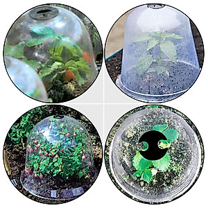 House Plants Mushroom Container 4pcs Garden Cloche Domes Plastic Plant Bell Cover Humidity Dome or Starter Pots for Plant Nursery Clear Glass Containers House Plants Indoors Live