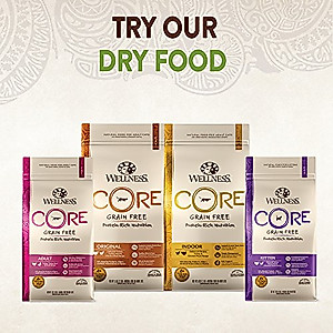 Wellness Core 95% Natural Grain Free Wet Canned Cat Food, Turkey, 5.5-Ounce Can (Pack Of 12)