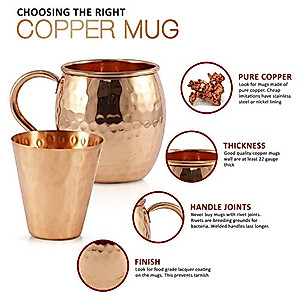 Advanced Mixology [Gift Set] Mule Science Moscow Mule Mugs Set of 4 (19 oz. large size) | 100% Handcrafted | Food Safe | Copper Mugs w/Accessories | Tarnish Resistant Copper Cups