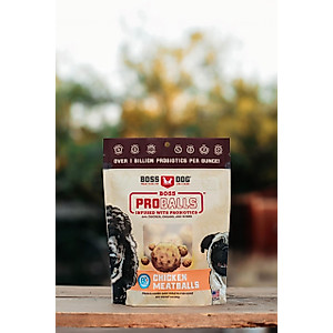 Boss Dog Boss Proballs Meatball Treats for Dogs & Cat, Chicken Recipe, 3 oz Bag (Bag of 2)