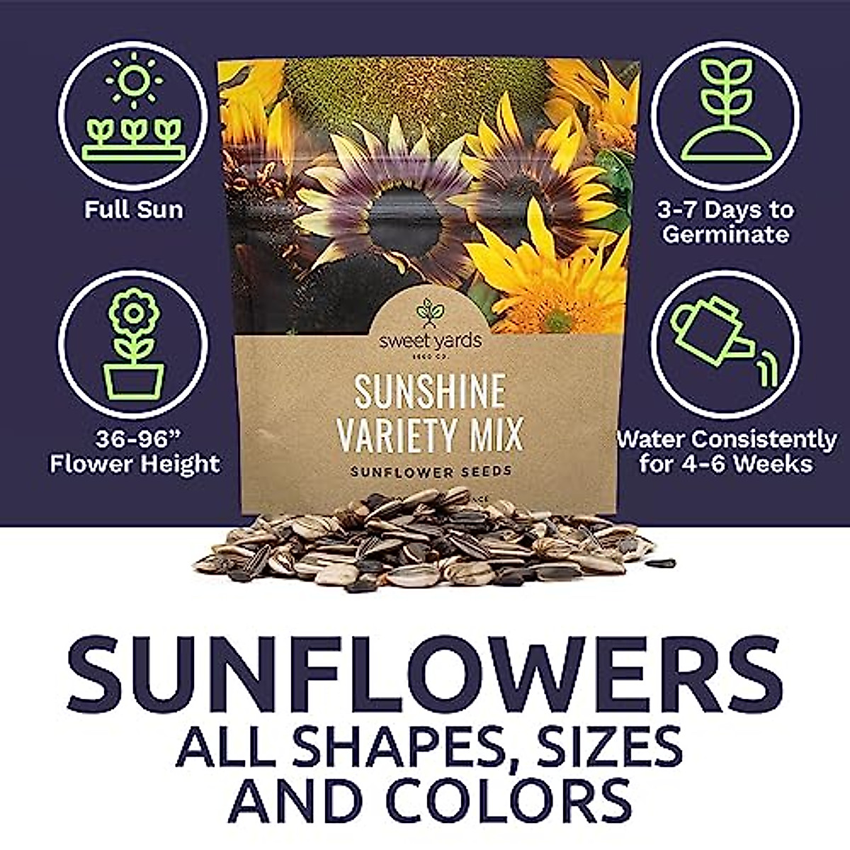 Sunflower Variety Mix 10 Types of Beautiful Sunflowers - Bulk 1 Ounce Packet - Open Pollinated Sunflower Seeds