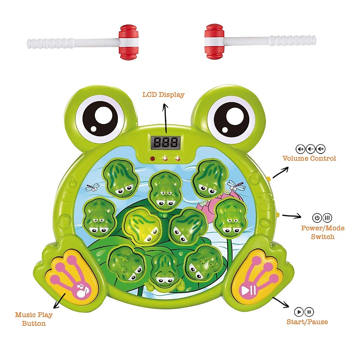 Boxgear Whack a Frog Game Pounding Toy for Kids with 2 Small Toy Hammers - Educational Toy for Toddler Game - Preschool Learning Toy for 3-Year-Old Boys/Girls and Up