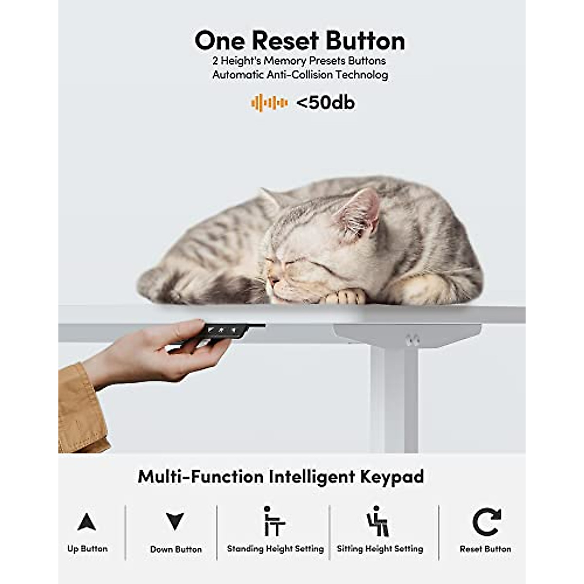 BANTI 55"x24" Standing Desk, Electric Stand up Height Adjustable Home Office Table, Sit Stand Desk with Splice Board, White Frame & White Top