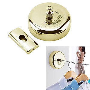 304 Stainless Steel Clothesline, Hotel Balcony Indoor Invisible Clothesline, Retractable Drying Rack (1 Set of Gold)