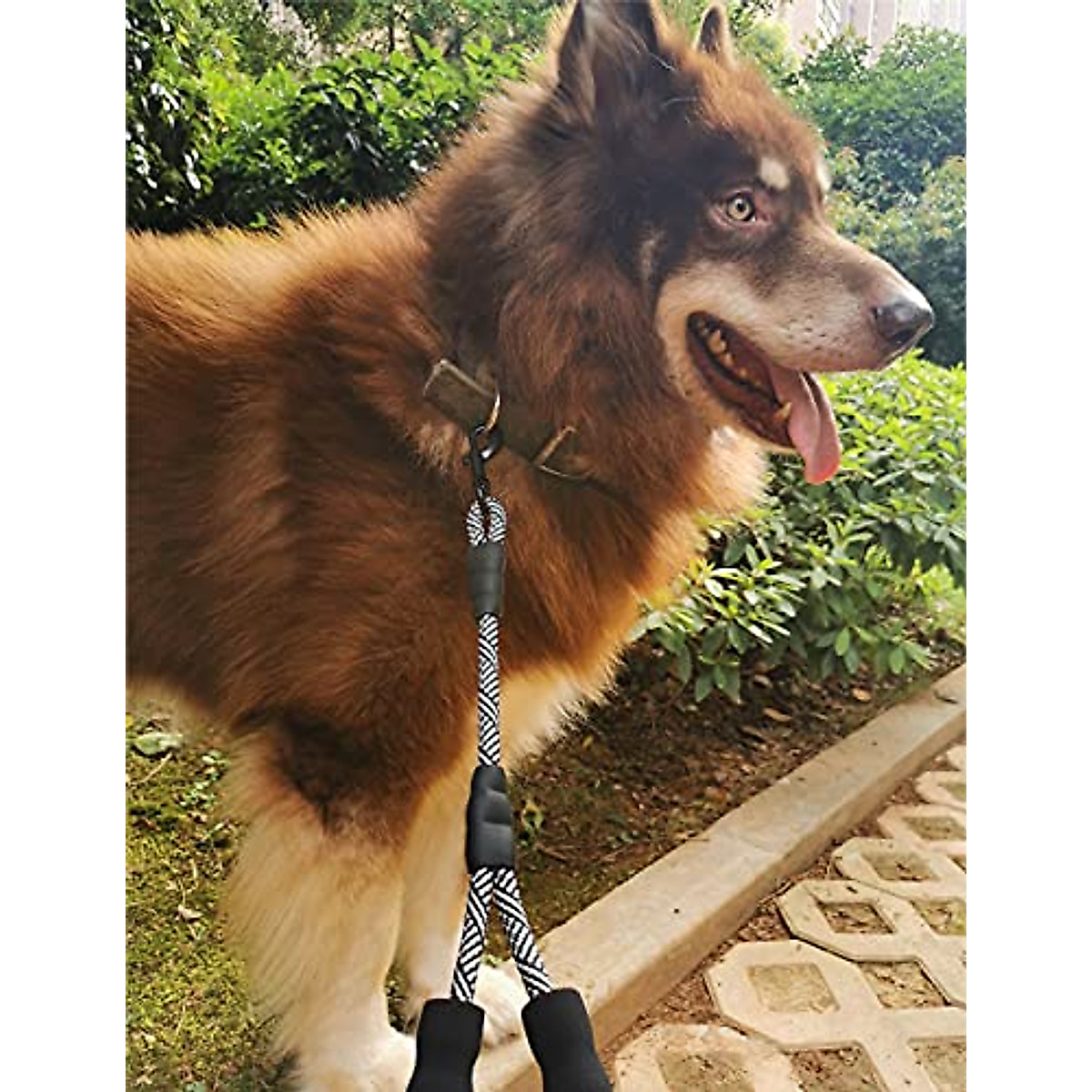 Mycicy Short Dog Leash- 18 Inch Rope Traffic Leash with Padded Handle- 1/2” Strong Nylon Tab Leash for Medium Large Dogs Training Walking