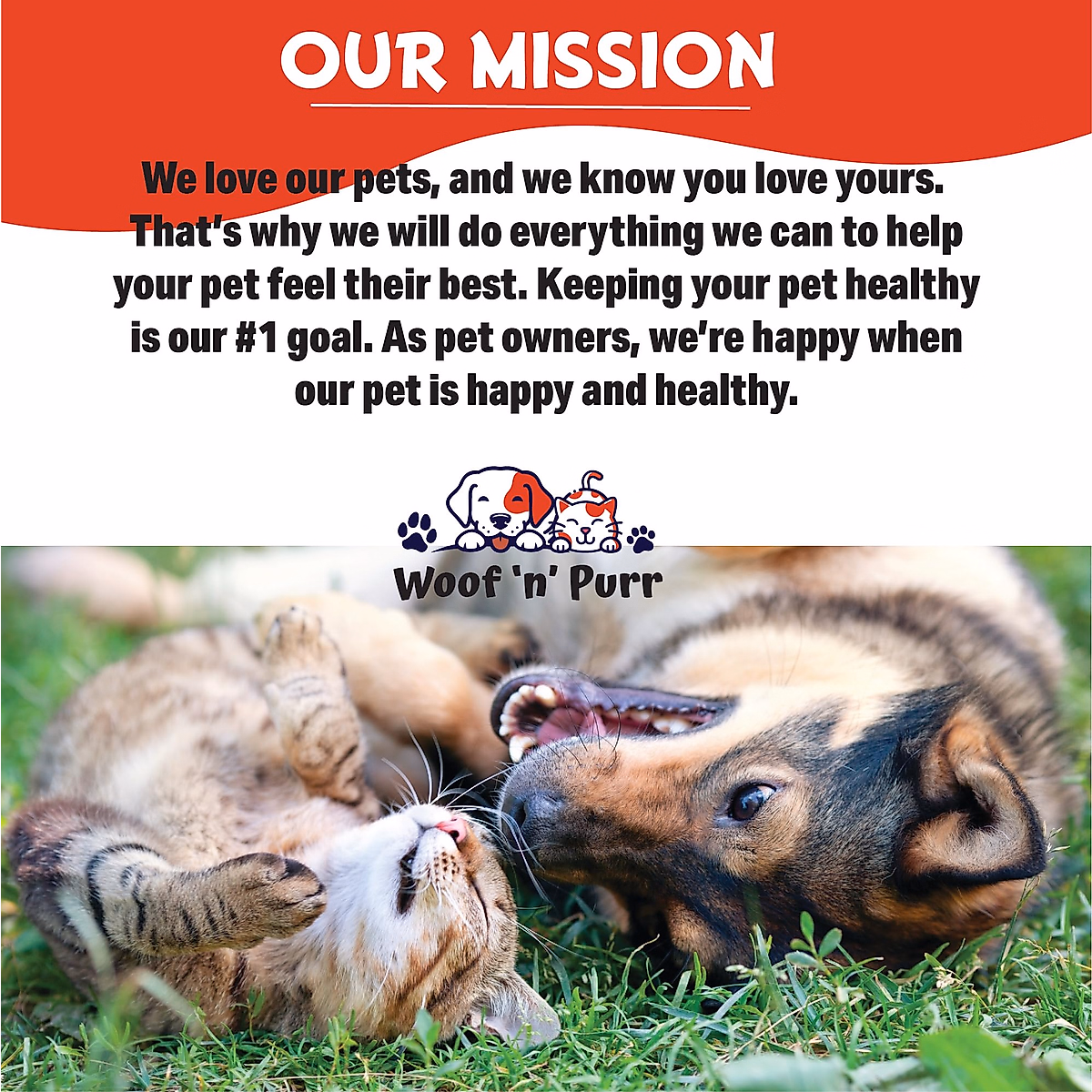 Cranberry Supplement for Dogs - Dog UTI Treatment - Dog Cranberry Supplement - Cranberry for Dogs - Dog UTI Cranberry - Dog UTI - UTI Treatment for Dogs - UTI Dogs - 1 fl oz - Bacon Flavor