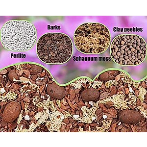 O-FarFarm Orchid Potting Mix 1 qt, Mixture of Orchid Bark, Perlite, Clay Pebble, and Sphagnum Moss, Premium Grade Recipe for Proper Root Development, Fits for Phalaenopsis, Cattleyas, Dendrobiums etc