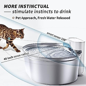 uahpet Cat Water Fountain Stainless Steel, 67oz/2L Wireless Pet Fountain, Battery Operated Dog Water Dispenser, Ultra Quiet for Cats, Dogs with 3pcs Filters