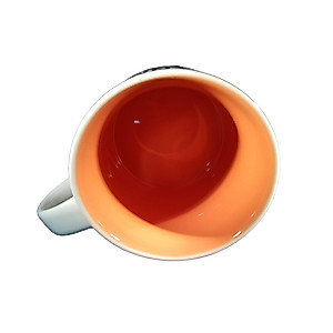 Starbucks Tennessee Coffee Mug Been There Series Across the Globe Collection,14 ounces