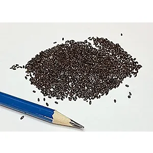 1400 English Lavender Seeds for Planting Indoors or Outdoors, 90% Germination, to Give You The Lavender Plant You Need, Non-GMO, Heirloom Herb Seeds (1 Pack)