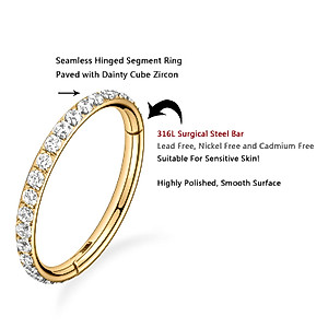 FUNLMO 16G Nose Rings Nose Hoop Cartilage Earring Hoop Nose Ring Hoop Helix Tragus Rook Daith Forward Helix Earring Lip Rings Snug Nose Ear Lip Piercing Jewelry Septum Ring 6mm Gold