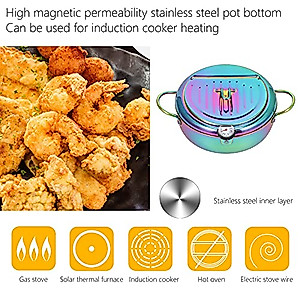 3.4L 10 Inch Stainless Steel Fryer with Temperature Control Japanese Style Tempura Fryer Pan Nonstick Coating Mini Deep Fryer for French Fries Shrimp Chicken Wings Deep Fryer