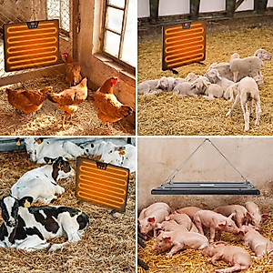 Keten Chicken Coop Heater, 100/200 Watts Radiant Heat Energy Efficient Design, 3 Ways to Use, Safer Than Brooder Lamps Heater with Digital Display and 5 Timing Setting(16.7'' X 12.2'')