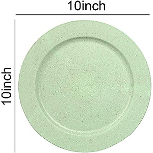 shopwithgreen 10 Inch Wheat Straw Dinner Plates, Unbreakable Sturdy Plastic Dinner Plates, Microwave and Dishwasher Safe