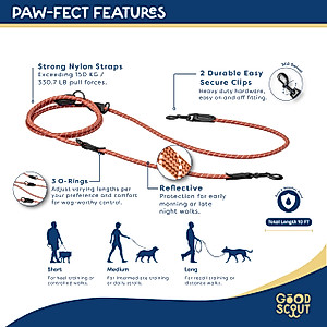Good Scout 10' Heavy Duty Adjustable Leash for Dogs, Durable Walking & Training Leash for Puppies & Adult Dogs, D-Ring for Waste Bag Storage, Brick