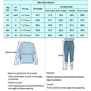 Danna Belle Kids Long Sleeve T-Shirt and Pants Set Top Leggings Outfits for Girls 8-10 Years