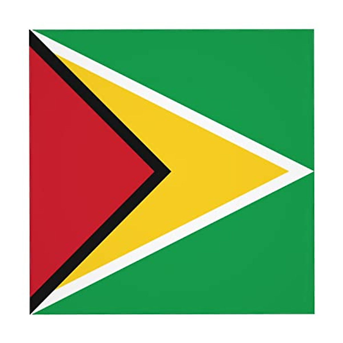 LIICHEES Flag of Guyana Tablecloth Kitchen Dining Room 54"x54" Square Washable Table Cover Outdoor Garden Picnic Tablecloths